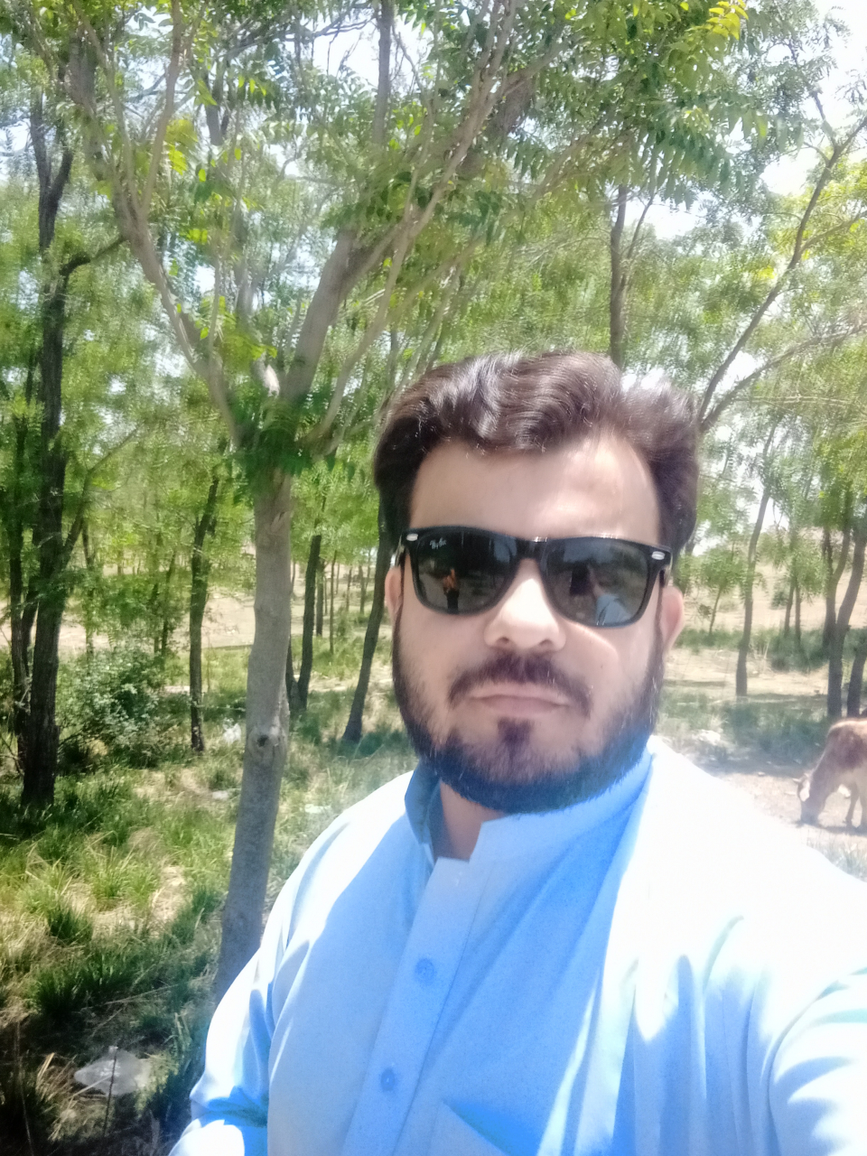 Tahir Khan